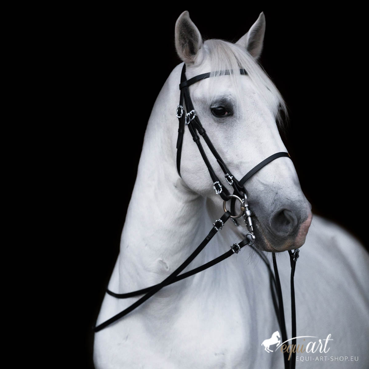 Kandarenzaum Aveira - Klassisch-portugiesischer Zaum - equi-art Shop